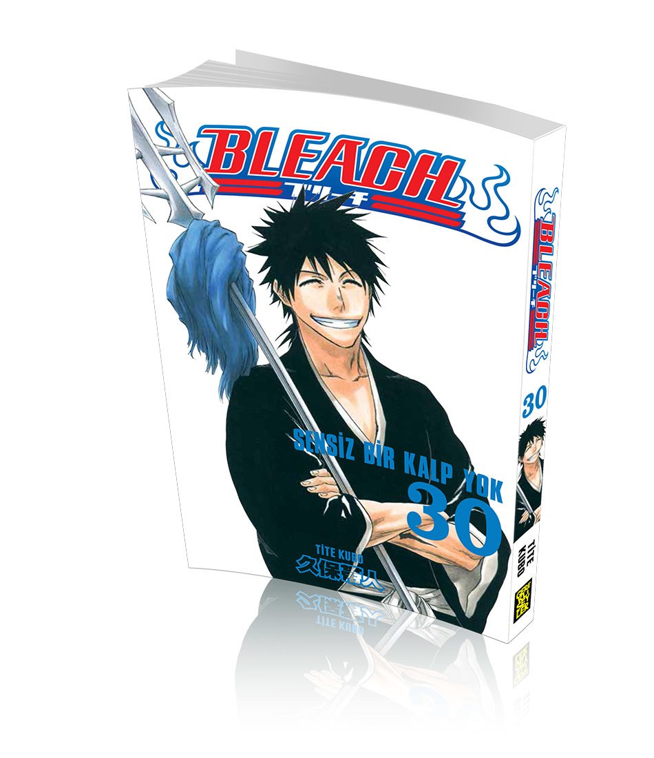 Bleach 30.Cilt