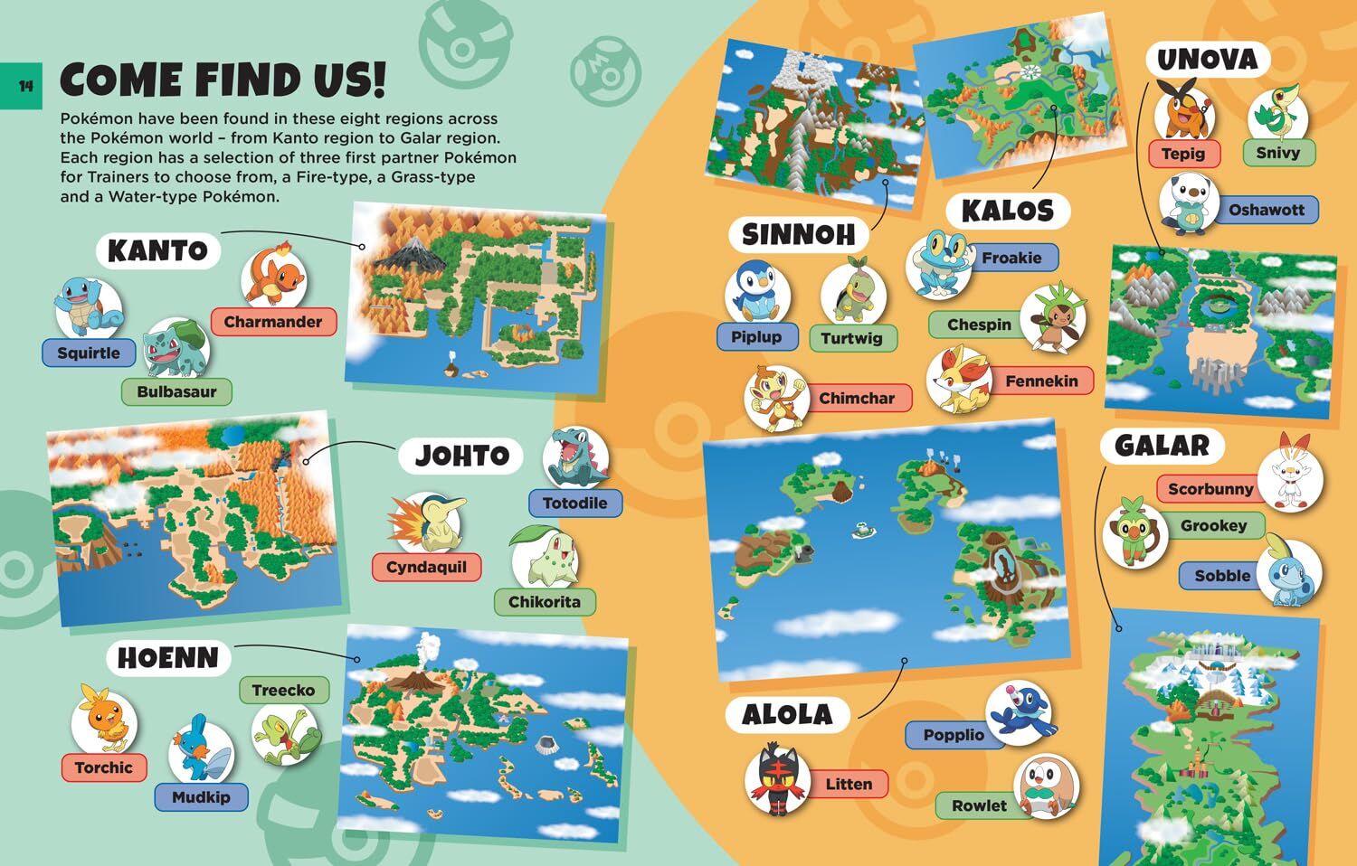 Pokemon Beginners Guide Hb