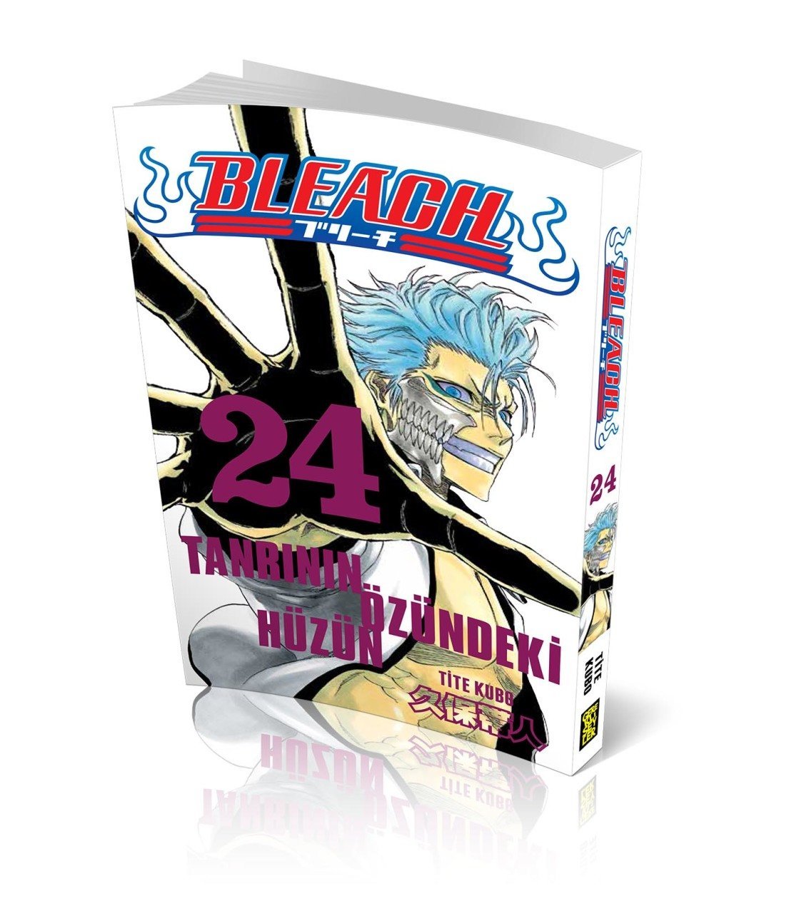 Bleach 24.Cilt